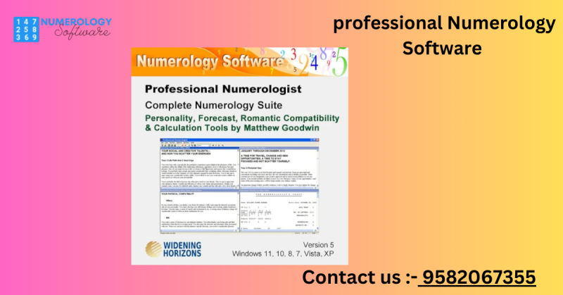 Professional numerology software