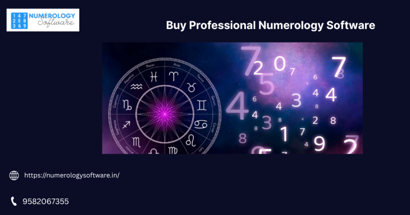 Professional numerology software